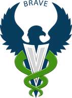 Dallas VA Medical Center | TechLink