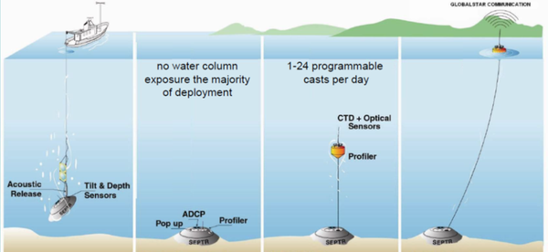 Trawl-resistant, flexible, autonomous underwater environmental ...